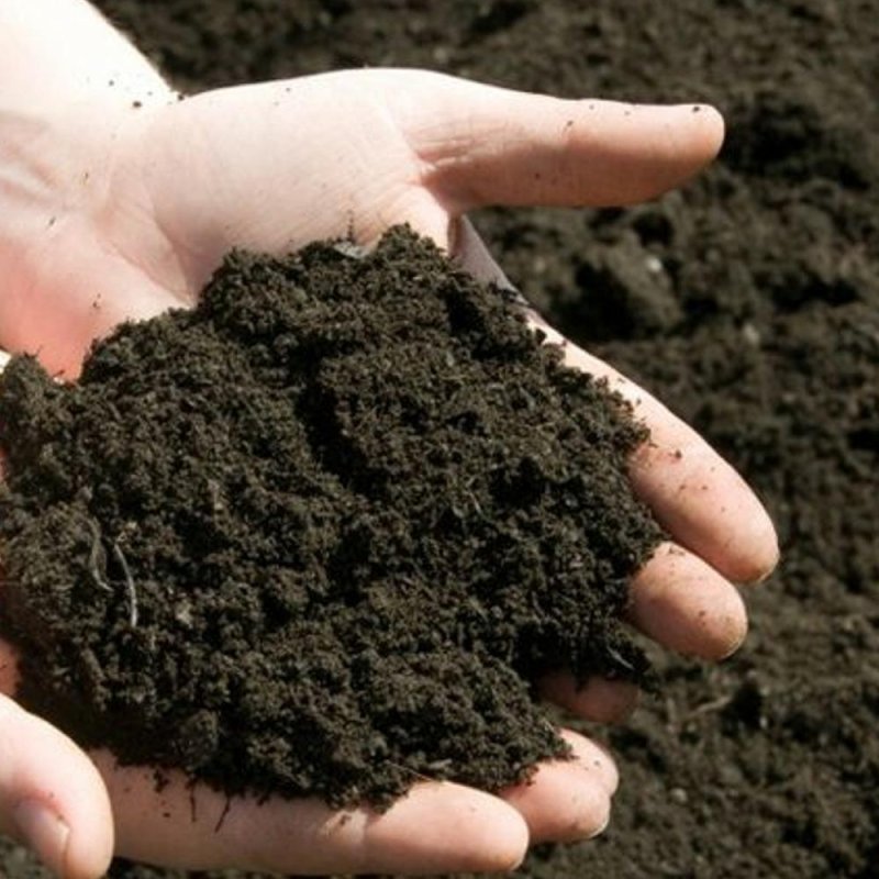 Miracle-Gro 50L Premium All Purpose Compost | Pease of Garforth